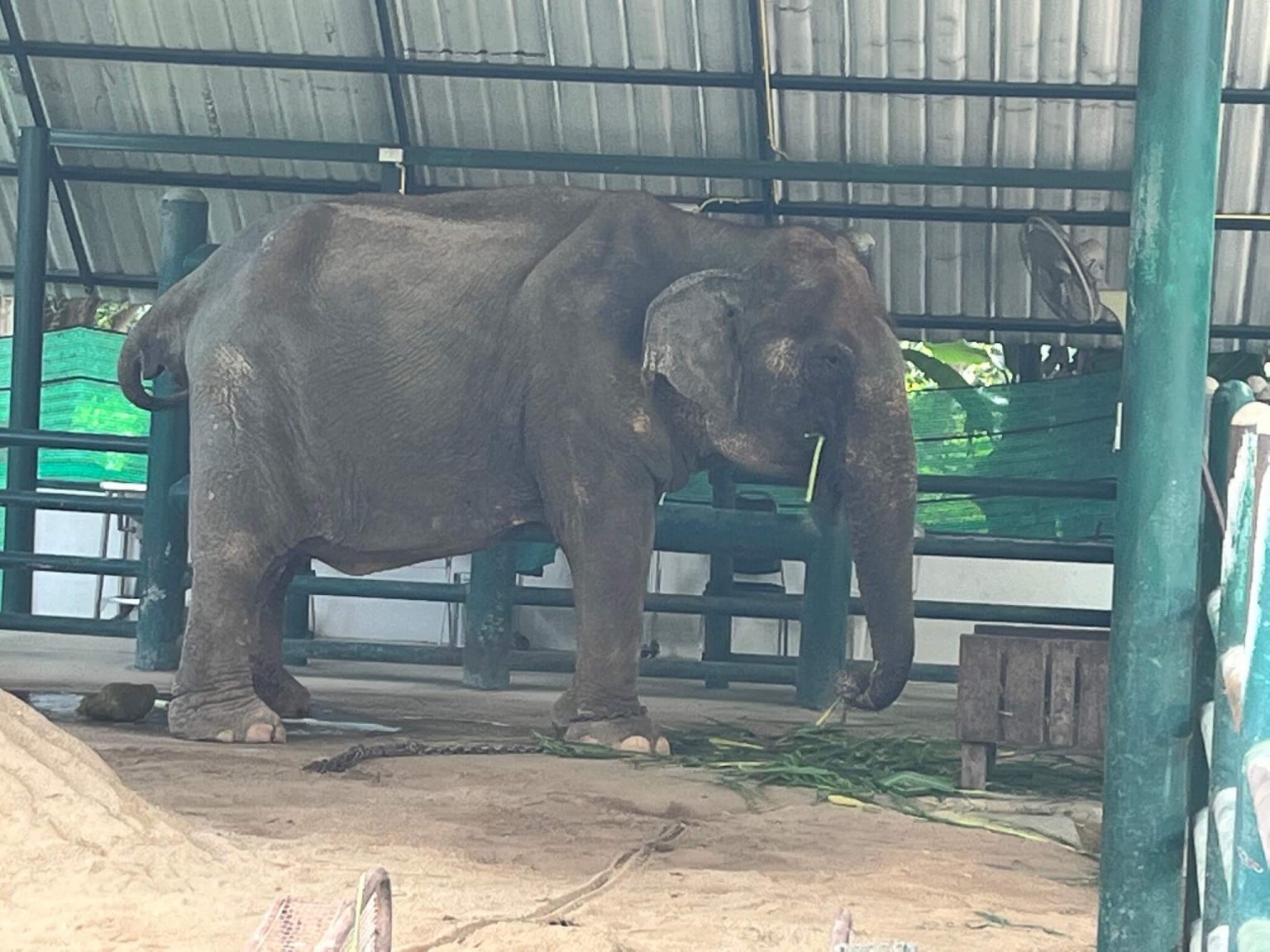 Discover Top 10 Things to Do In Lampang: Exploring Northern Thailand