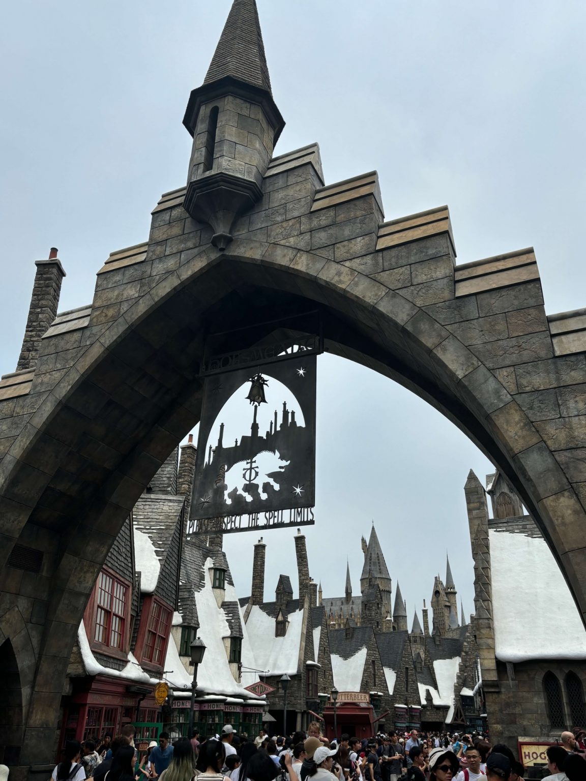 Top 10 Rides at Universal Studios Japan: Must-Do Attractions for ...