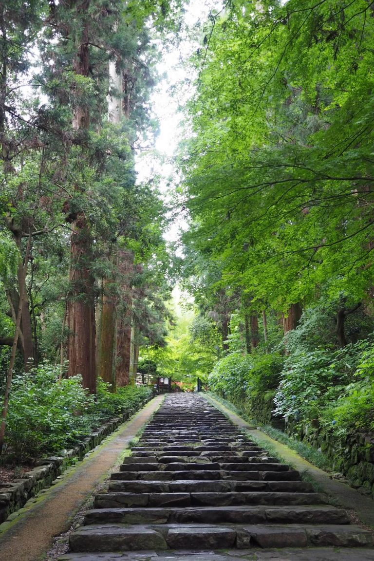 Sendai Travel Guide: Top 12 Things to Do & Best Local Foods To Try ...